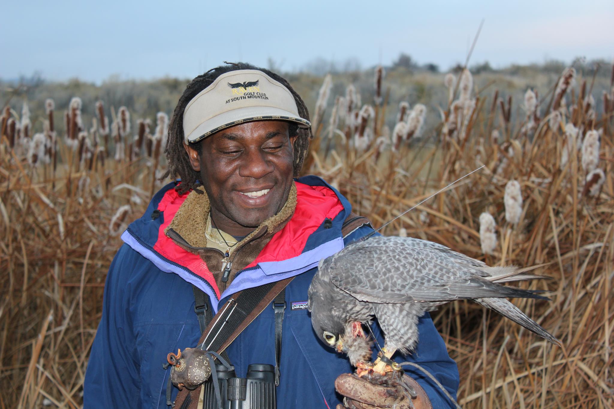 On the Edge of Wild with Master Falconer Shawn Hayes - Pierce Press